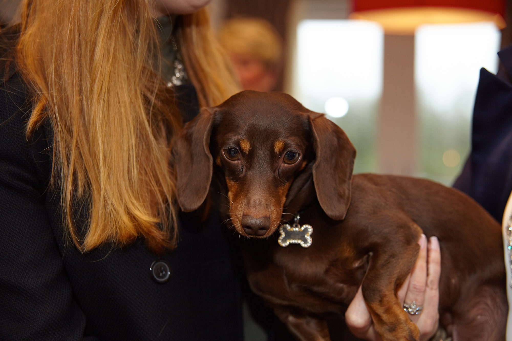 FoxHunterPark_16_4_16_026 - Foxhunter Park